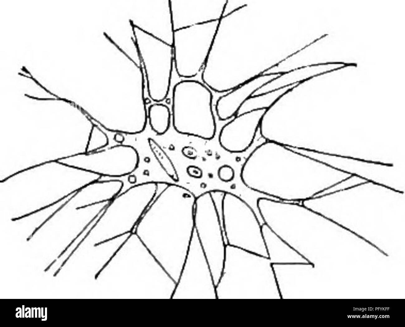 Trinema hi-res stock photography and images - Alamy