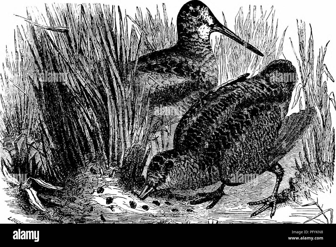 434 b c e hi-res stock photography and images - Alamy