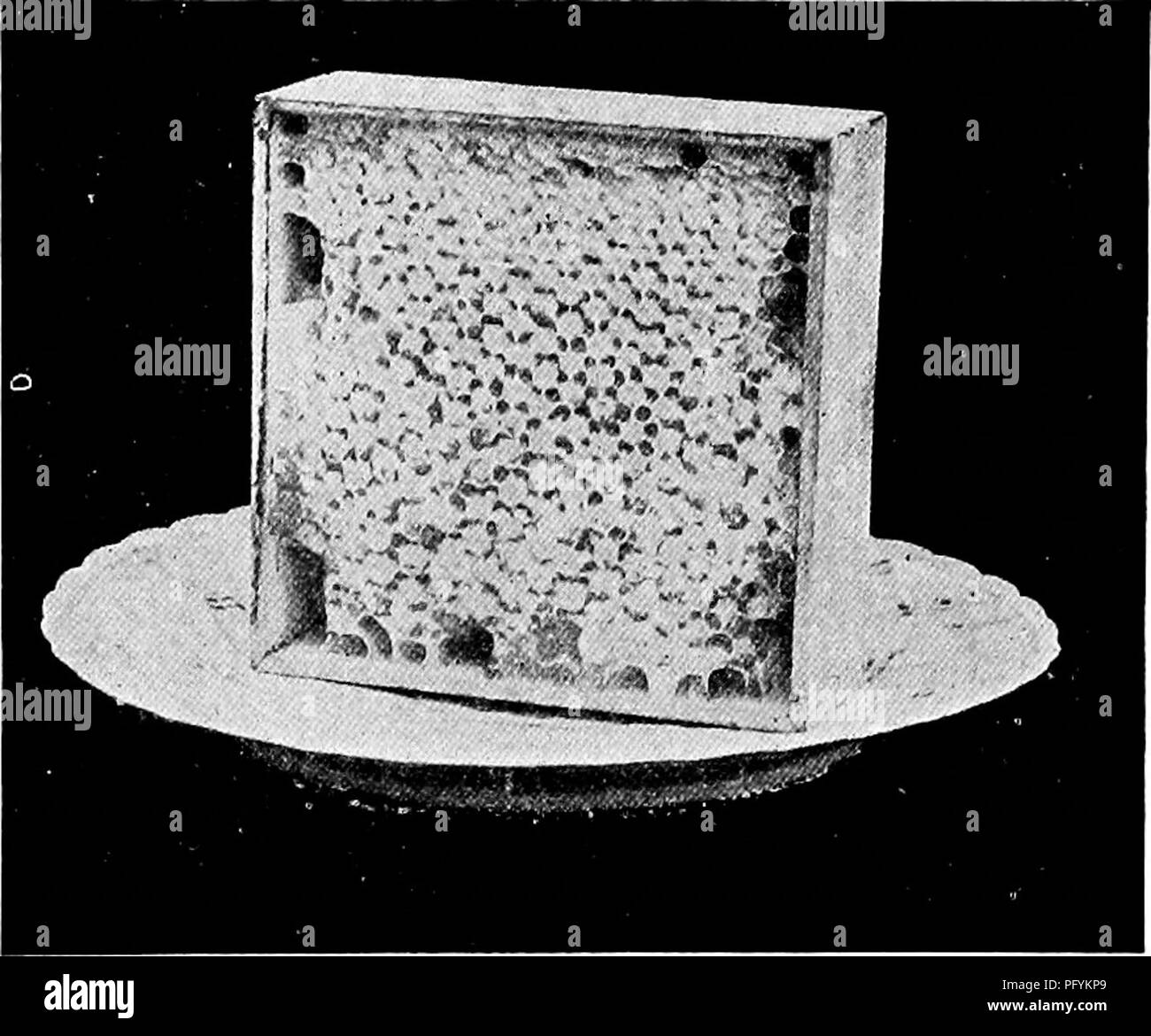 This handbook provides a detailed exploration of honeycomb structure ...