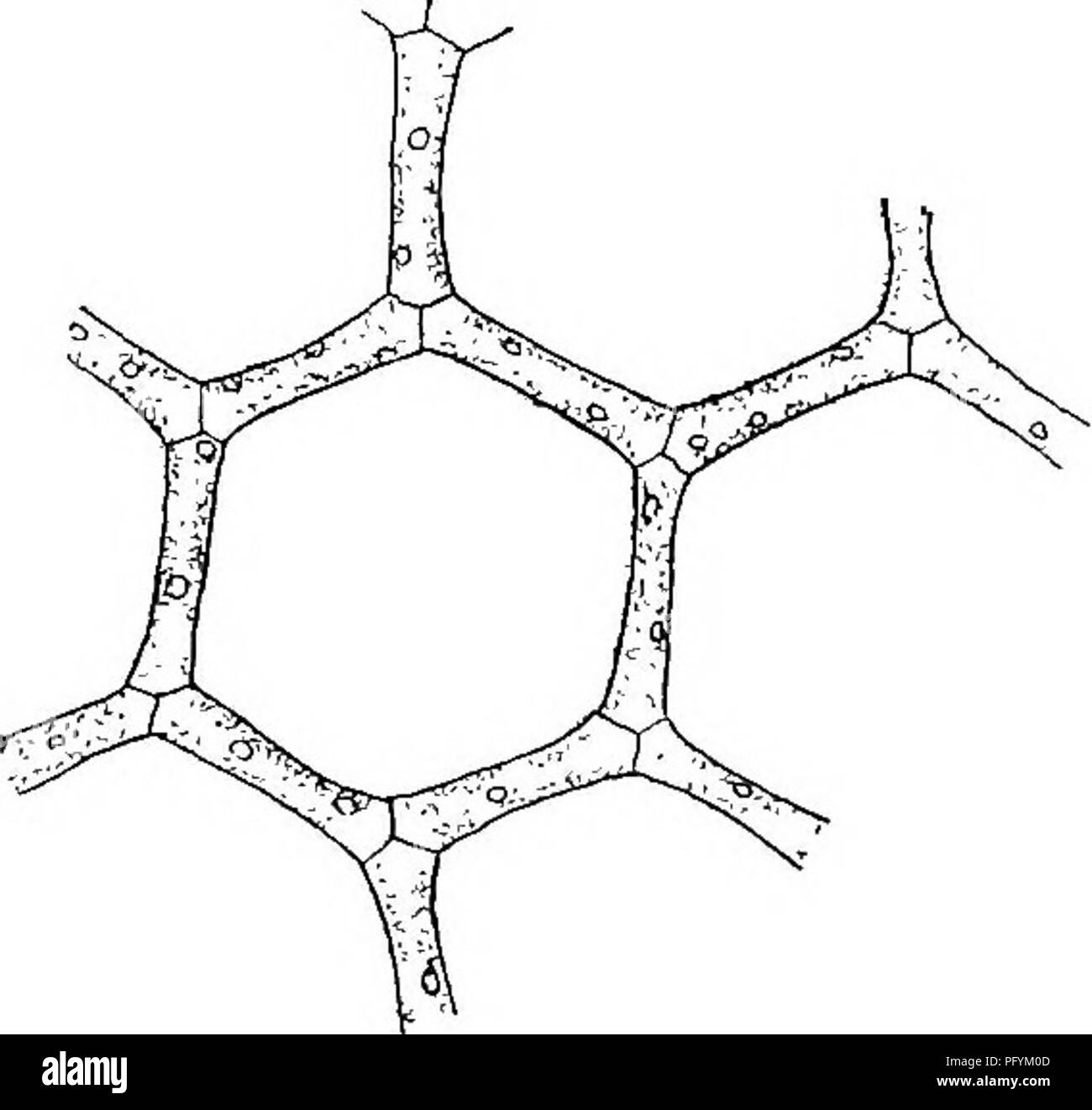 Five planes Cut Out Stock Images & Pictures - Alamy