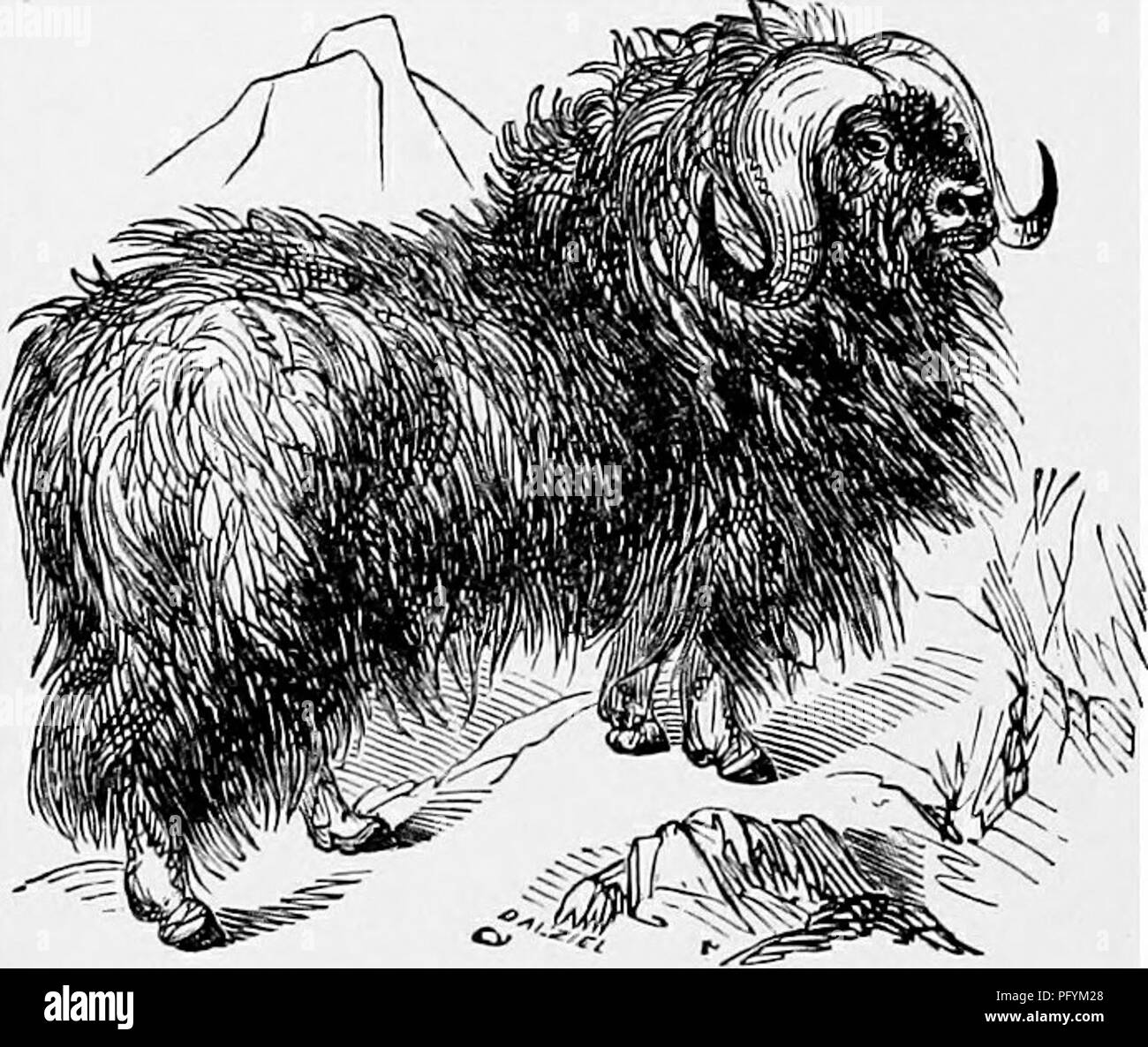 Chowrie hi-res stock photography and images - Alamy