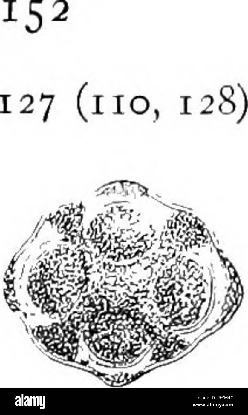 . Fresh-water biology. Freshwater biology. FRESH-WATER BIOLOGY Colonies ...