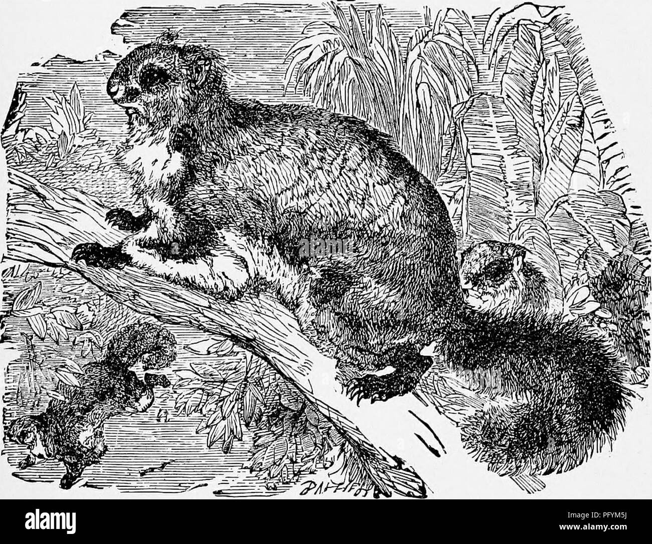 Heavily clothed hi-res stock photography and images - Alamy