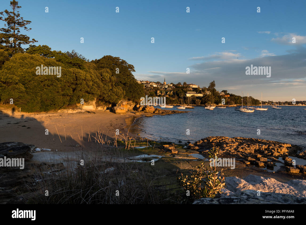 Milk Beach Sydney Australia photo by rhiannon hopley Stock Photo - Alamy