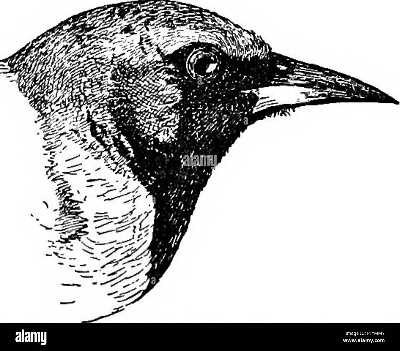 E 9 9 18 Black and White Stock Photos & Images - Alamy