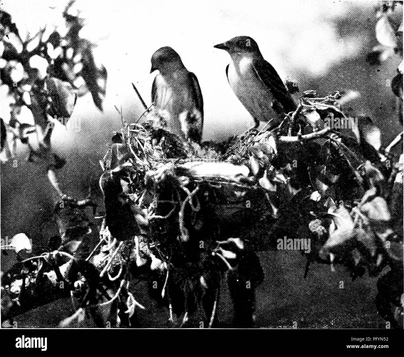 Captured perfectly Black and White Stock Photos & Images - Alamy