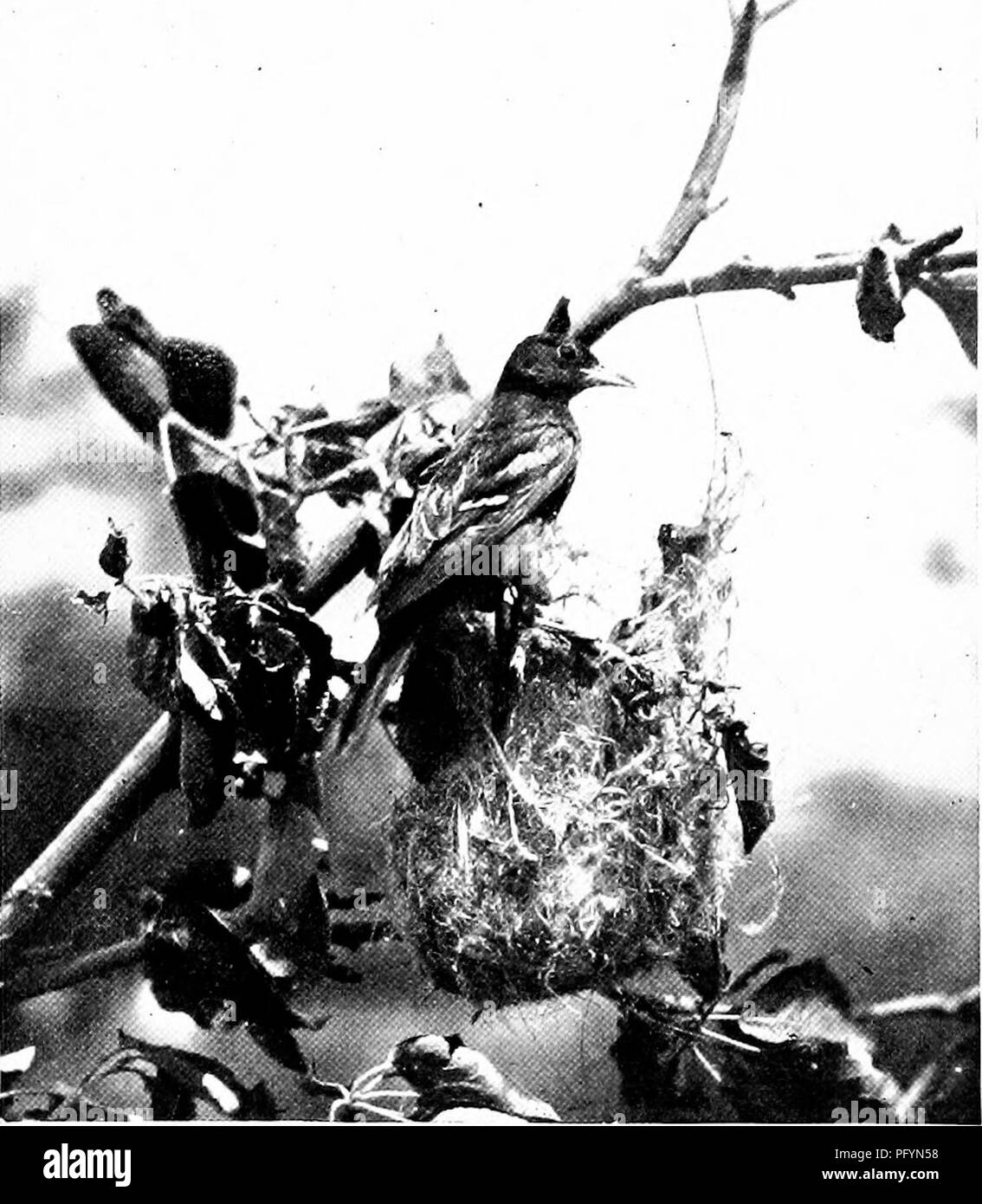 Photographing patterns Black and White Stock Photos & Images - Alamy