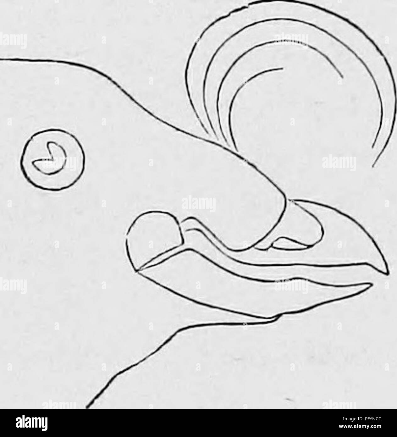 Frontal boundary Black and White Stock Photos & Images - Alamy