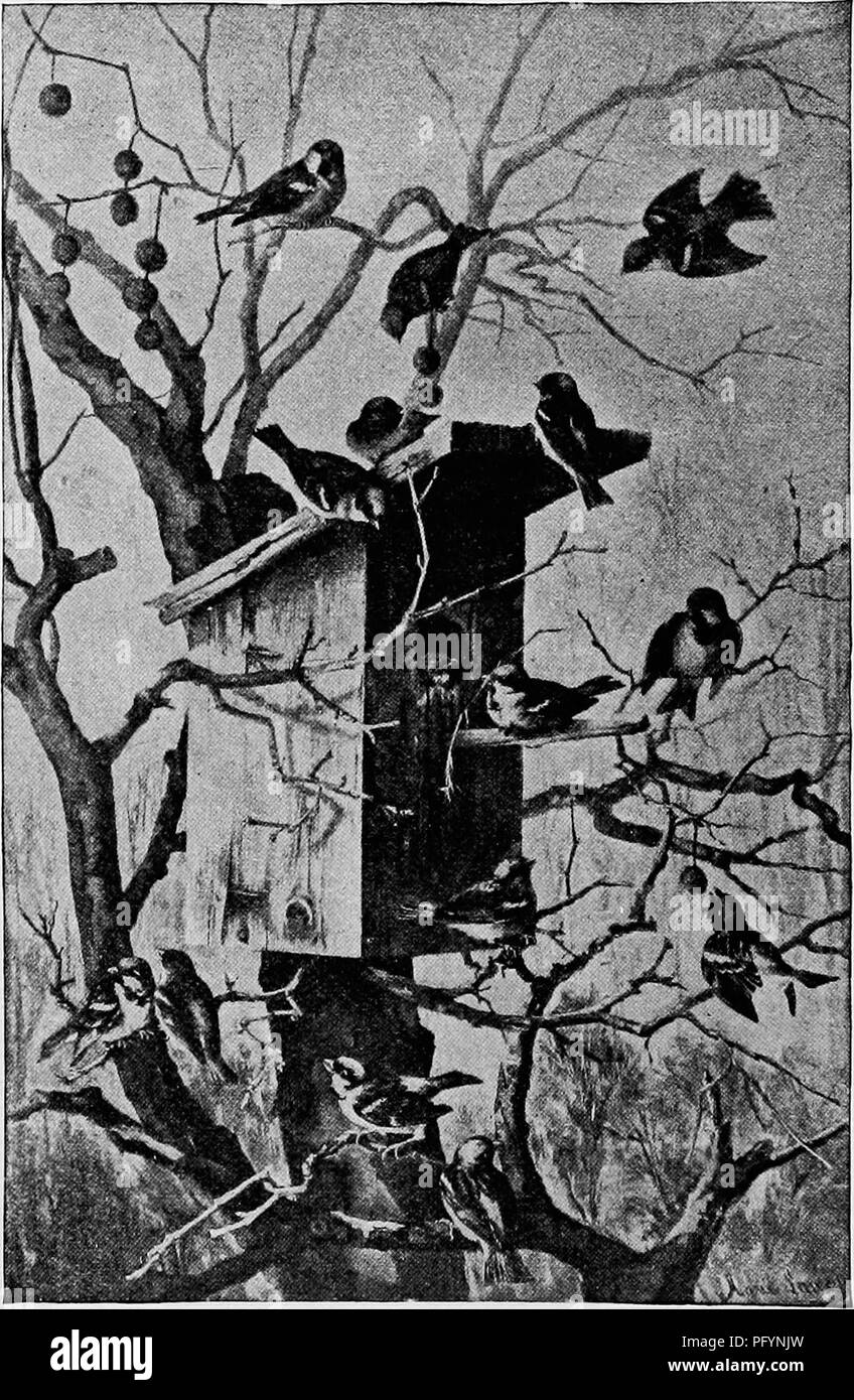 Behavior research diverse Black and White Stock Photos & Images - Alamy