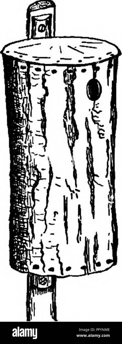 6 chapter Black and White Stock Photos & Images - Alamy