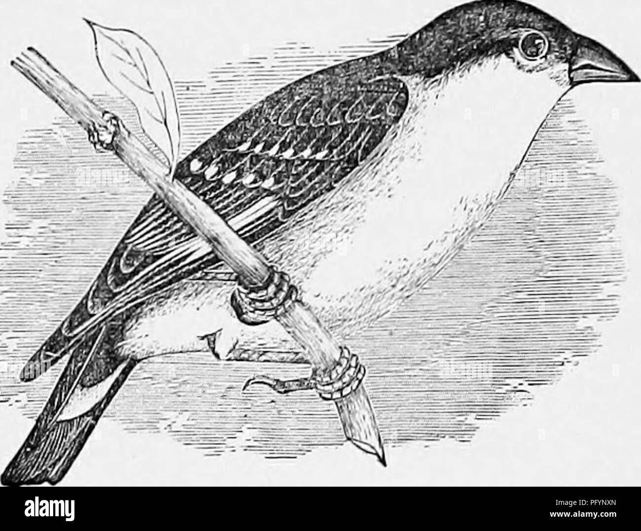 Var boundary hi-res stock photography and images - Alamy