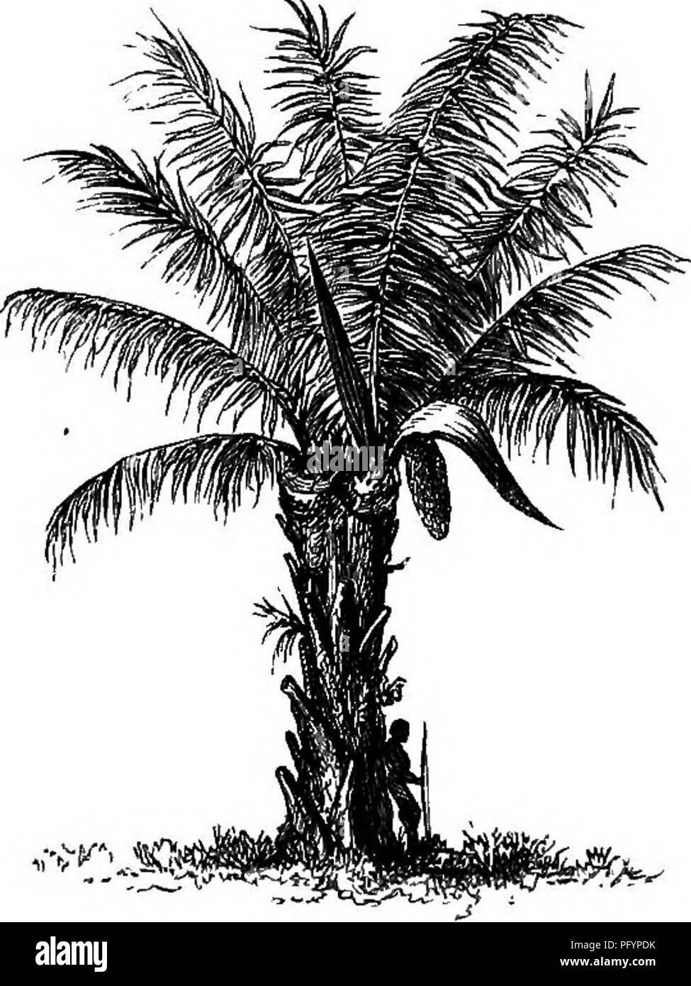 1816 1820 Black and White Stock Photos & Images - Alamy