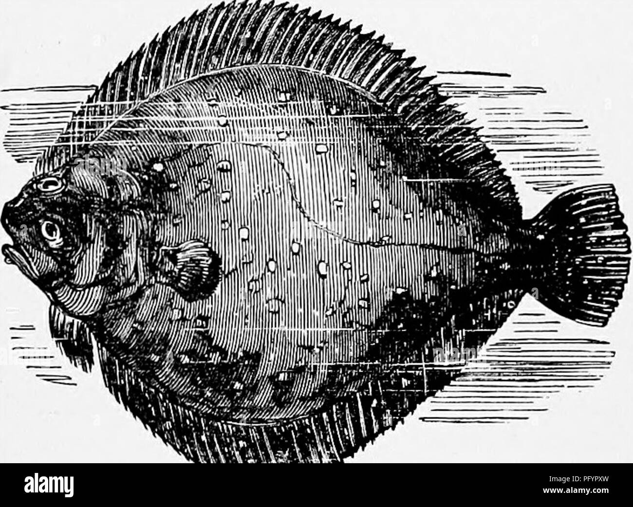 Marine biology dredge hi-res stock photography and images - Alamy