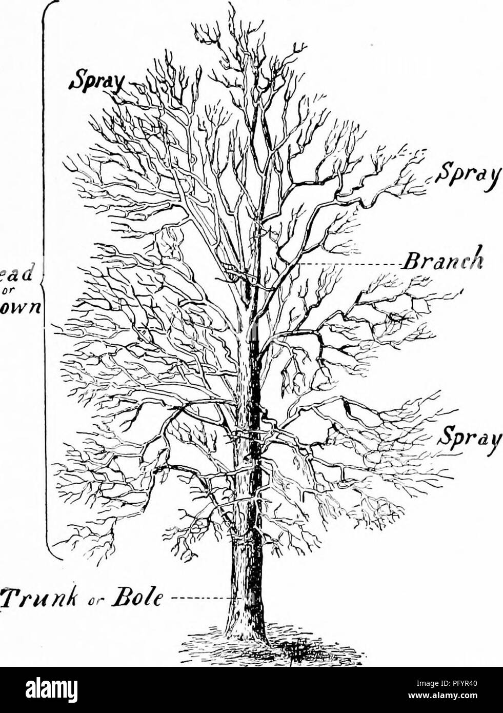 This handbook serves as a practical guide for teachers and parents ...