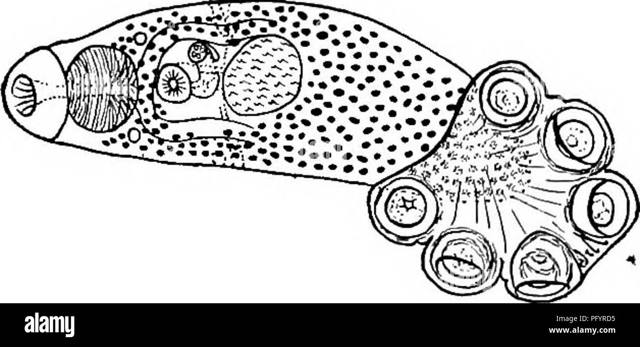 116 mm hi-res stock photography and images - Alamy