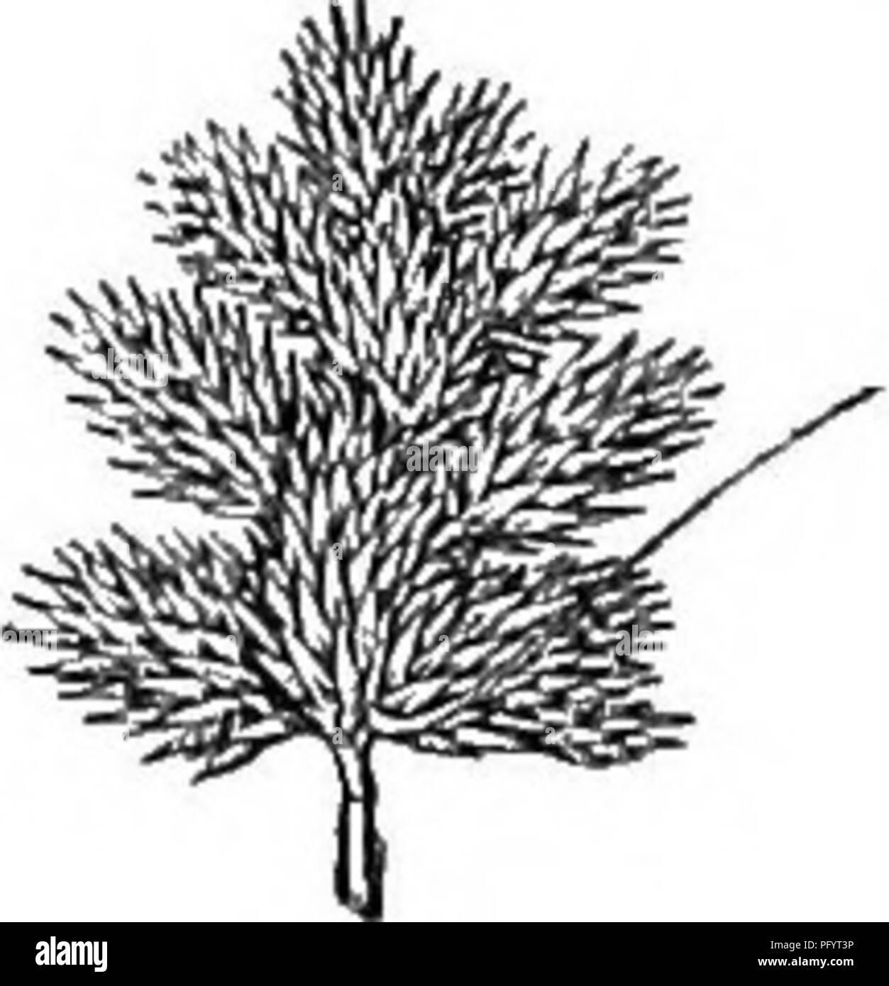 343 mm hi-res stock photography and images - Alamy