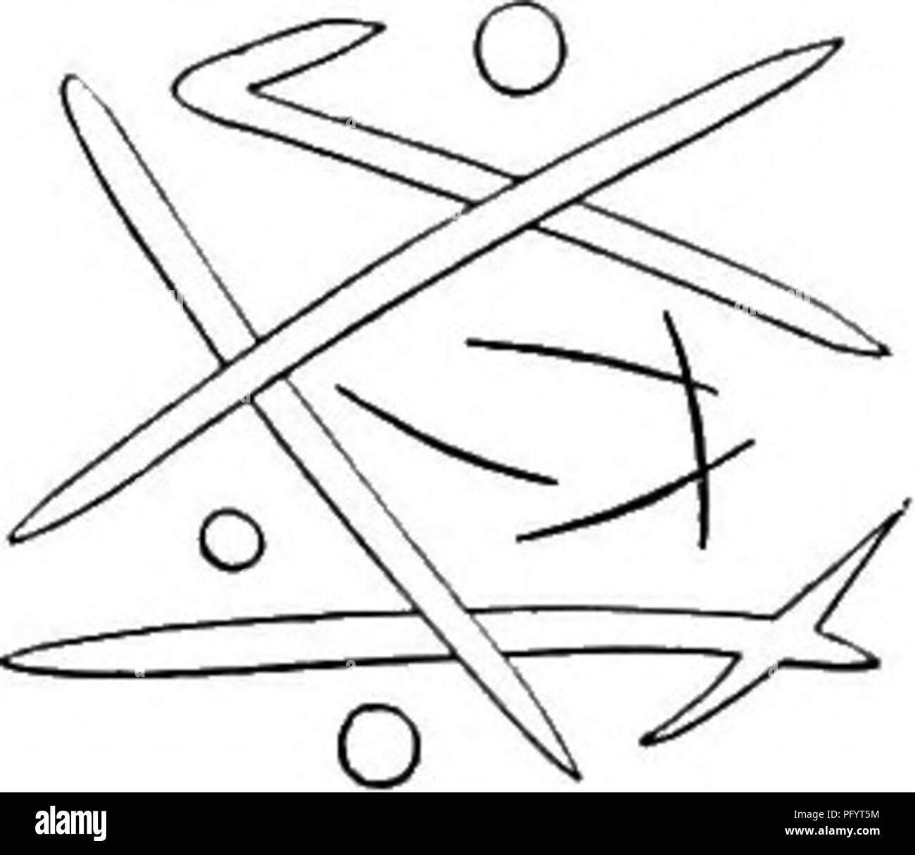 The study of North American fresh-water sponges highlights the ...