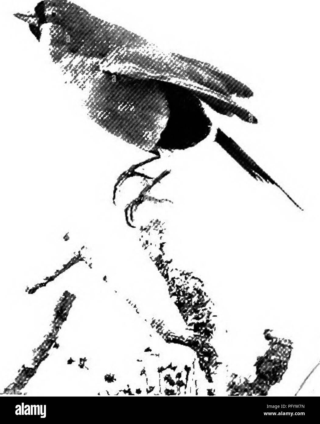 15 5 05 Black and White Stock Photos & Images - Alamy