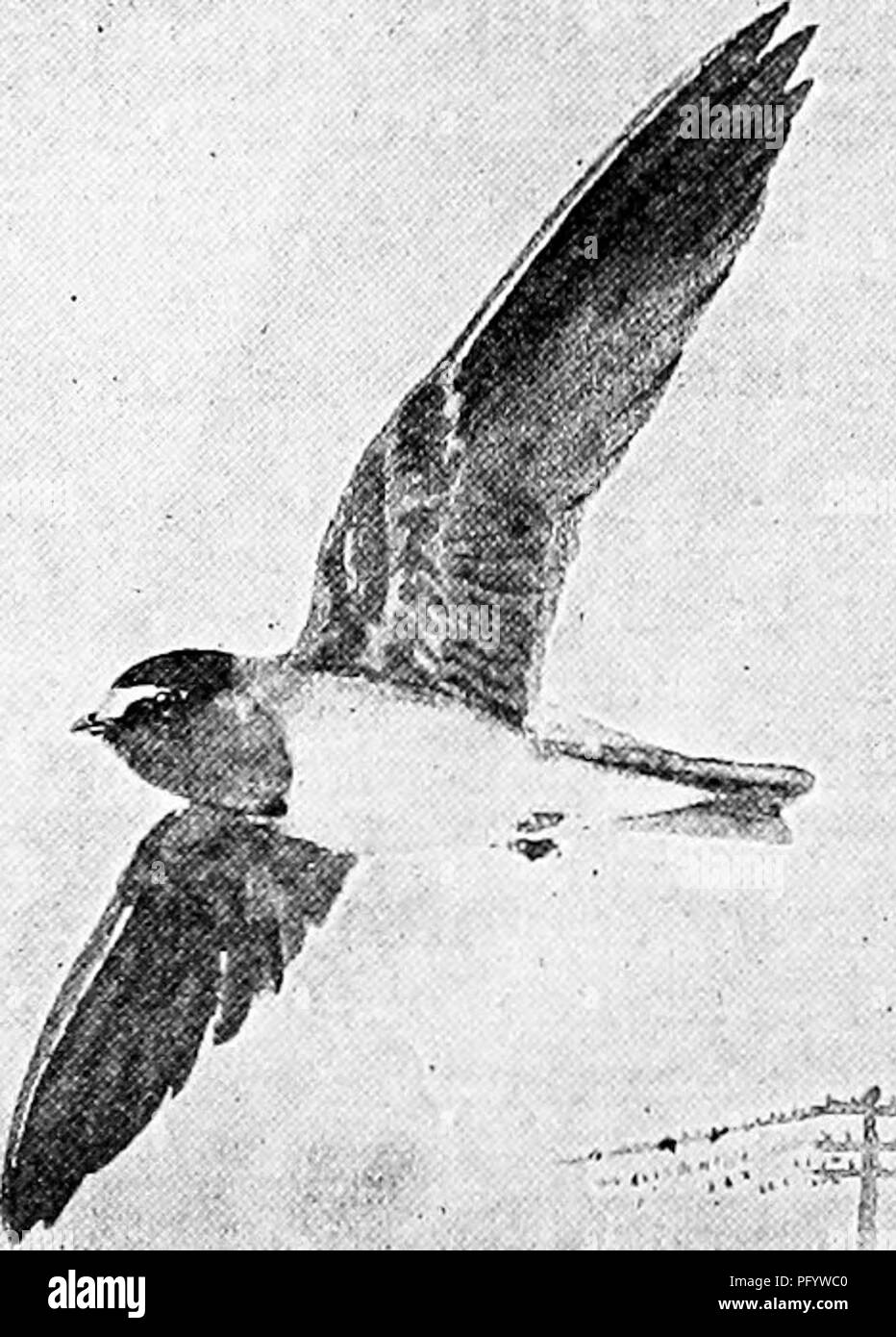 This handbook serves as an educational guide for teachers and parents ...