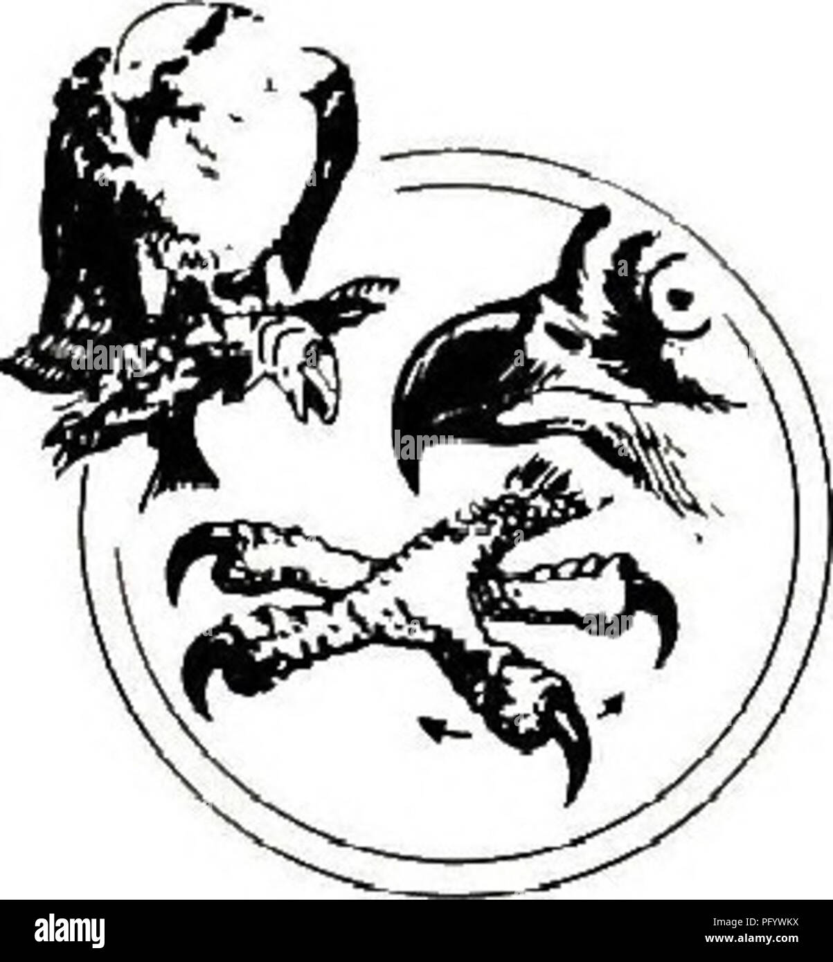 Niche habitats hi-res stock photography and images - Alamy