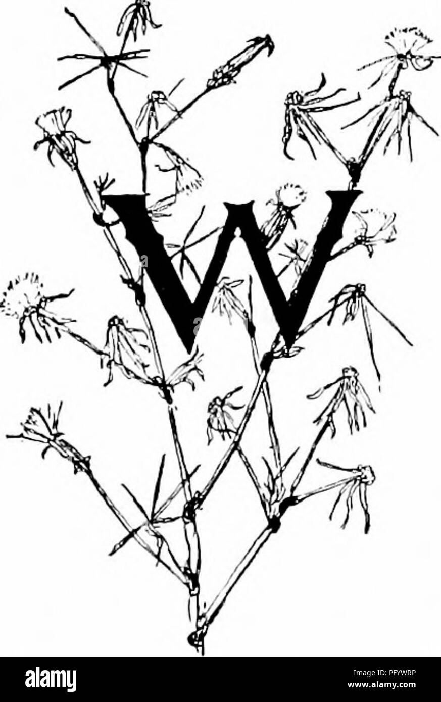 This handbook provides guidance for teachers and parents on nature ...