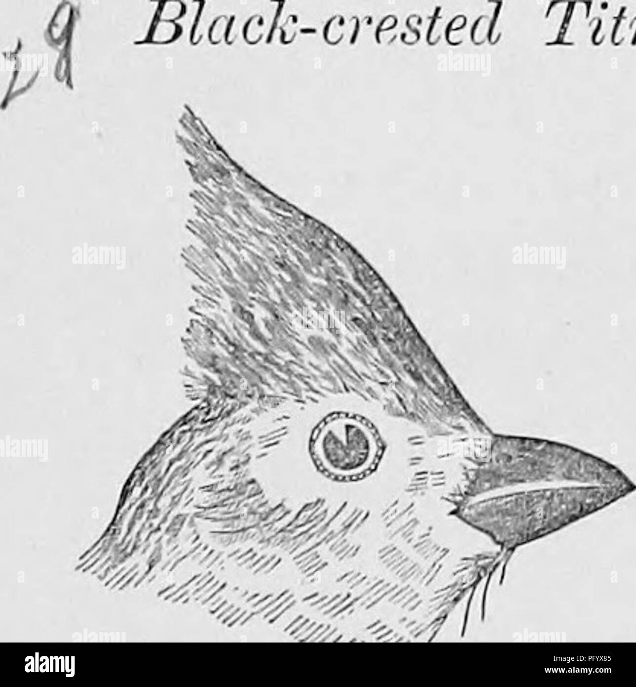 Faint markings hi-res stock photography and images - Alamy