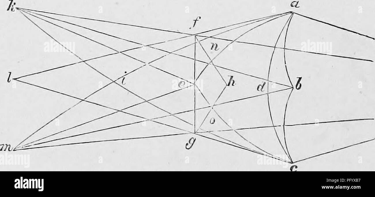 The 'Key to North American Birds' provides detailed descriptions of ...