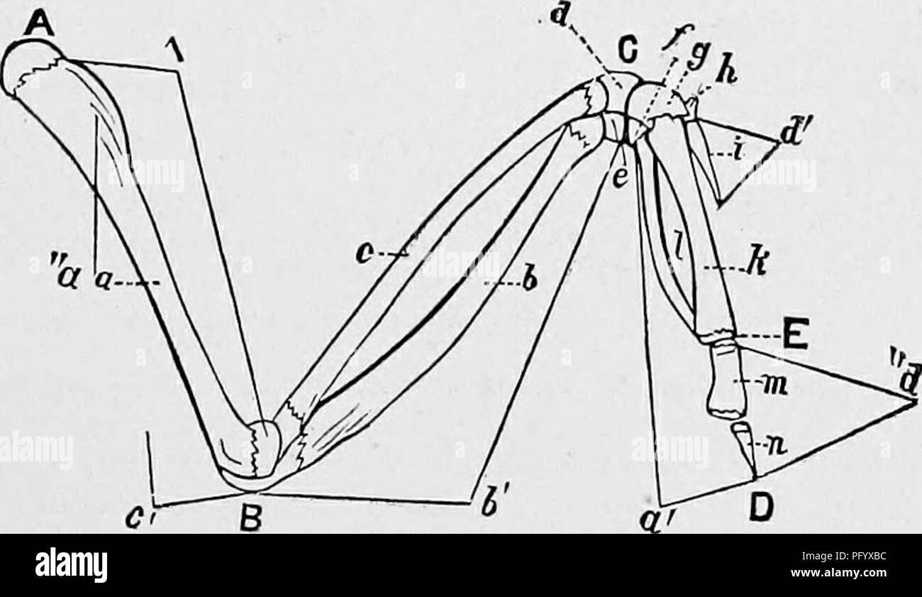 Elbow plates Black and White Stock Photos & Images - Alamy