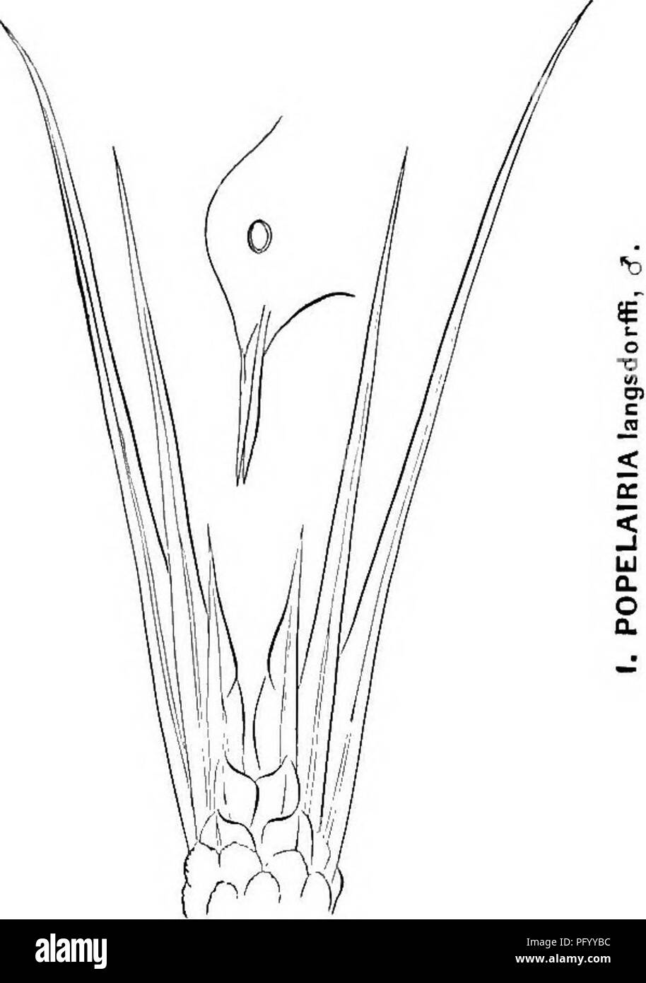 Catalog provides information on Black and White Stock Photos & Images ...