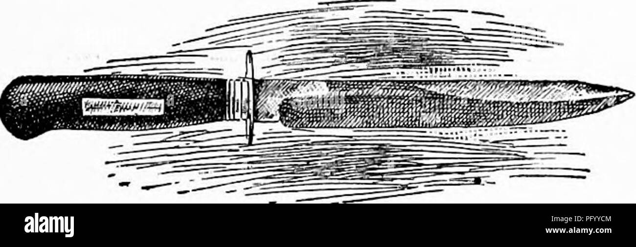 Vainly hi-res stock photography and images - Alamy