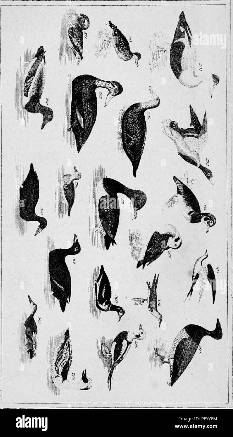 William nuttall hi-res stock photography and images - Alamy