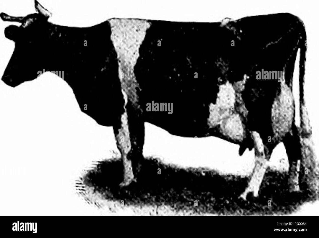 Straighter Black and White Stock Photos & Images - Alamy