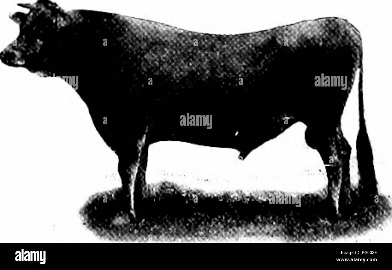 Channel island milk hi-res stock photography and images - Alamy