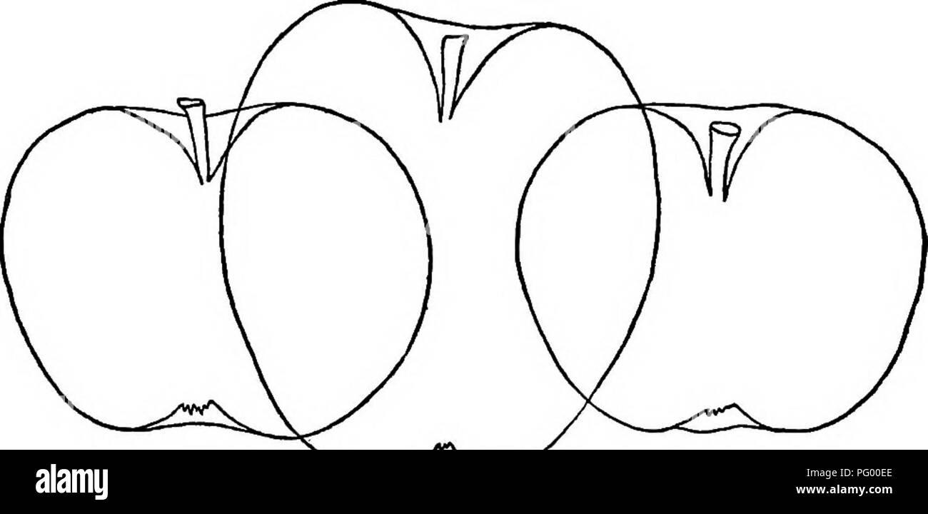 This guide provides instructions on the propagation and cultivation of ...