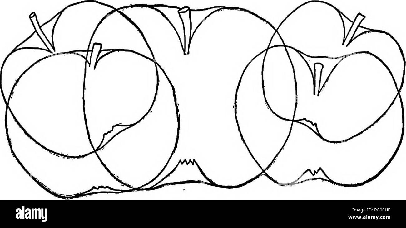 Slightly conical Black and White Stock Photos & Images - Alamy