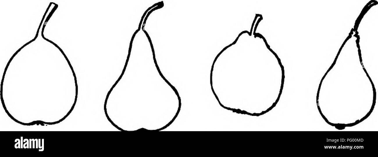 This work on fruit culture provides guidance on the propagation and ...