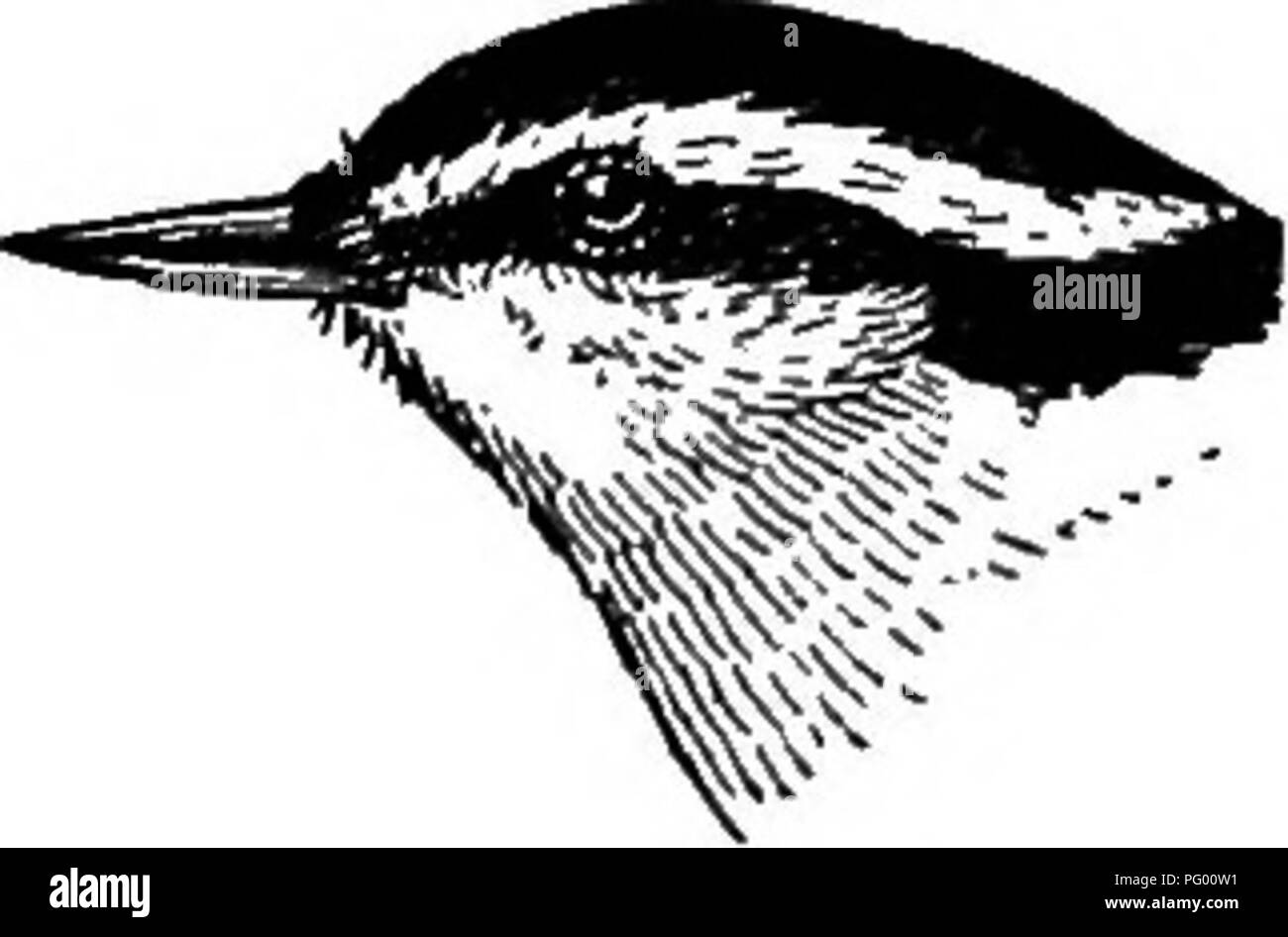 North ern england hi-res stock photography and images - Alamy