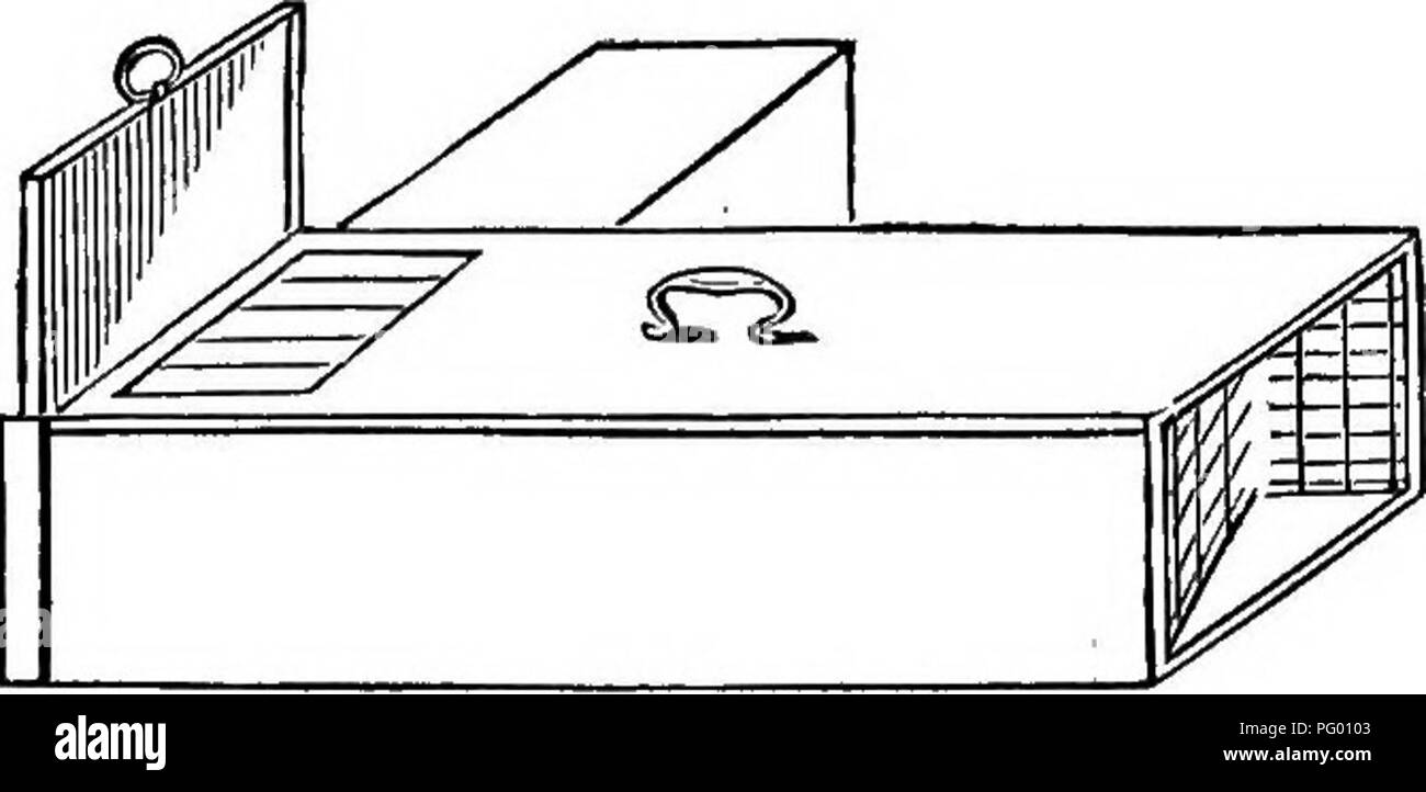 . Geyelin's poultry breeding, in a commercial point of view, as carried ...