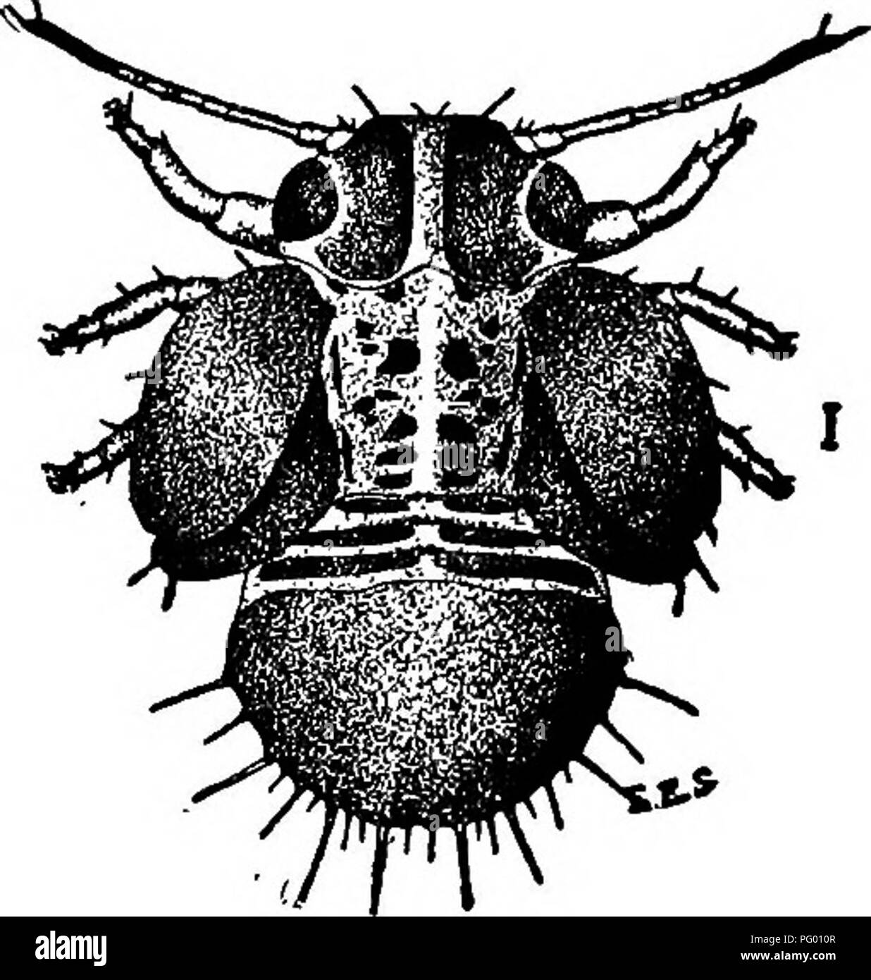 This guide provides instructions on the propagation and care of fruit ...