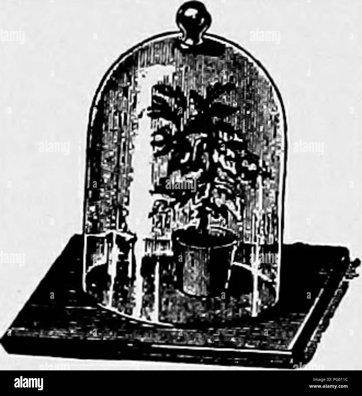 Bell jar experiment Black and White Stock Photos & Images - Alamy