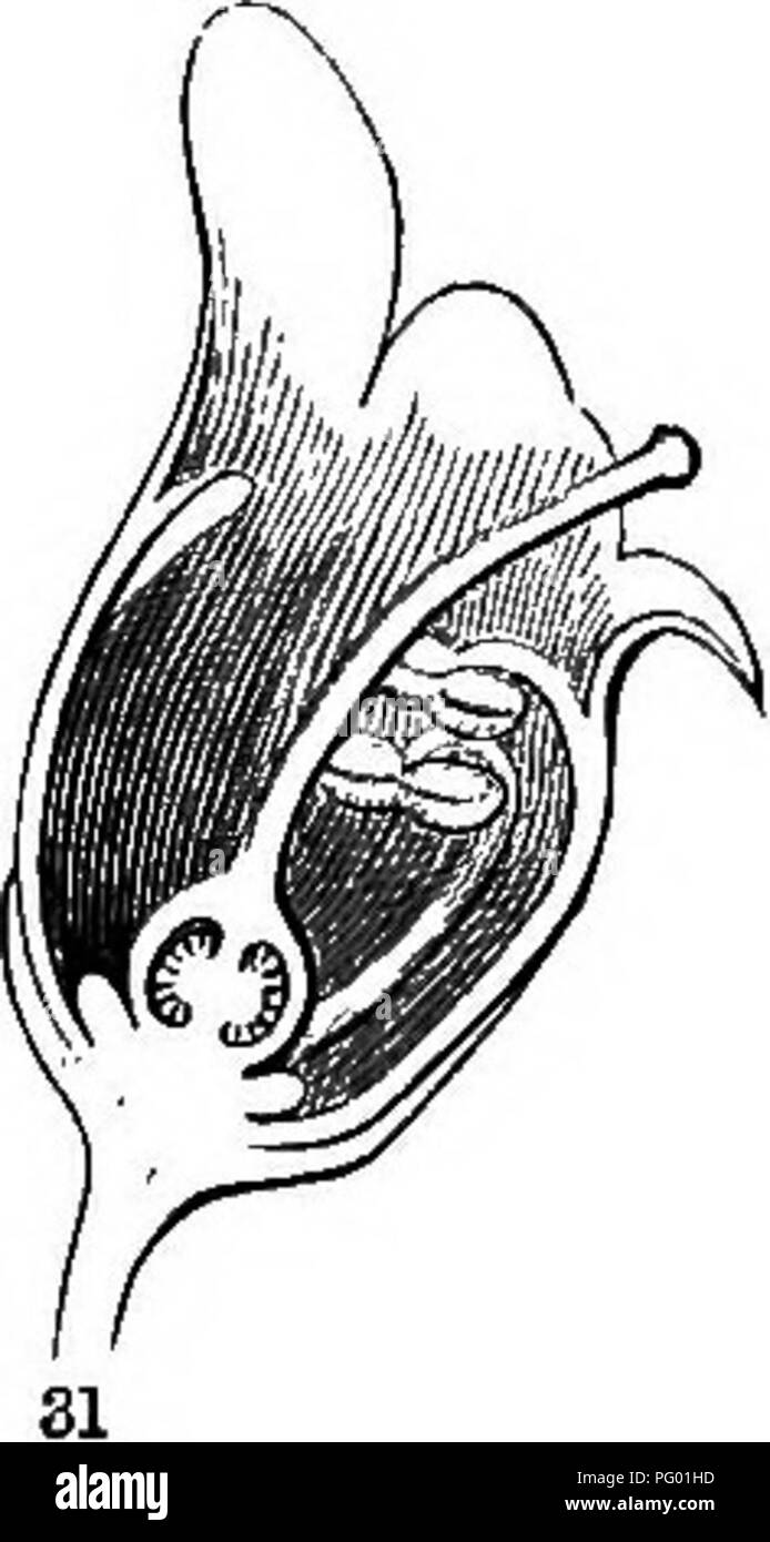 This educational work explains plant behavior, including how they move ...