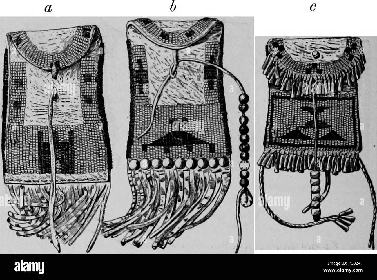 This entry from the *American Museum of Natural History* illustrates ...