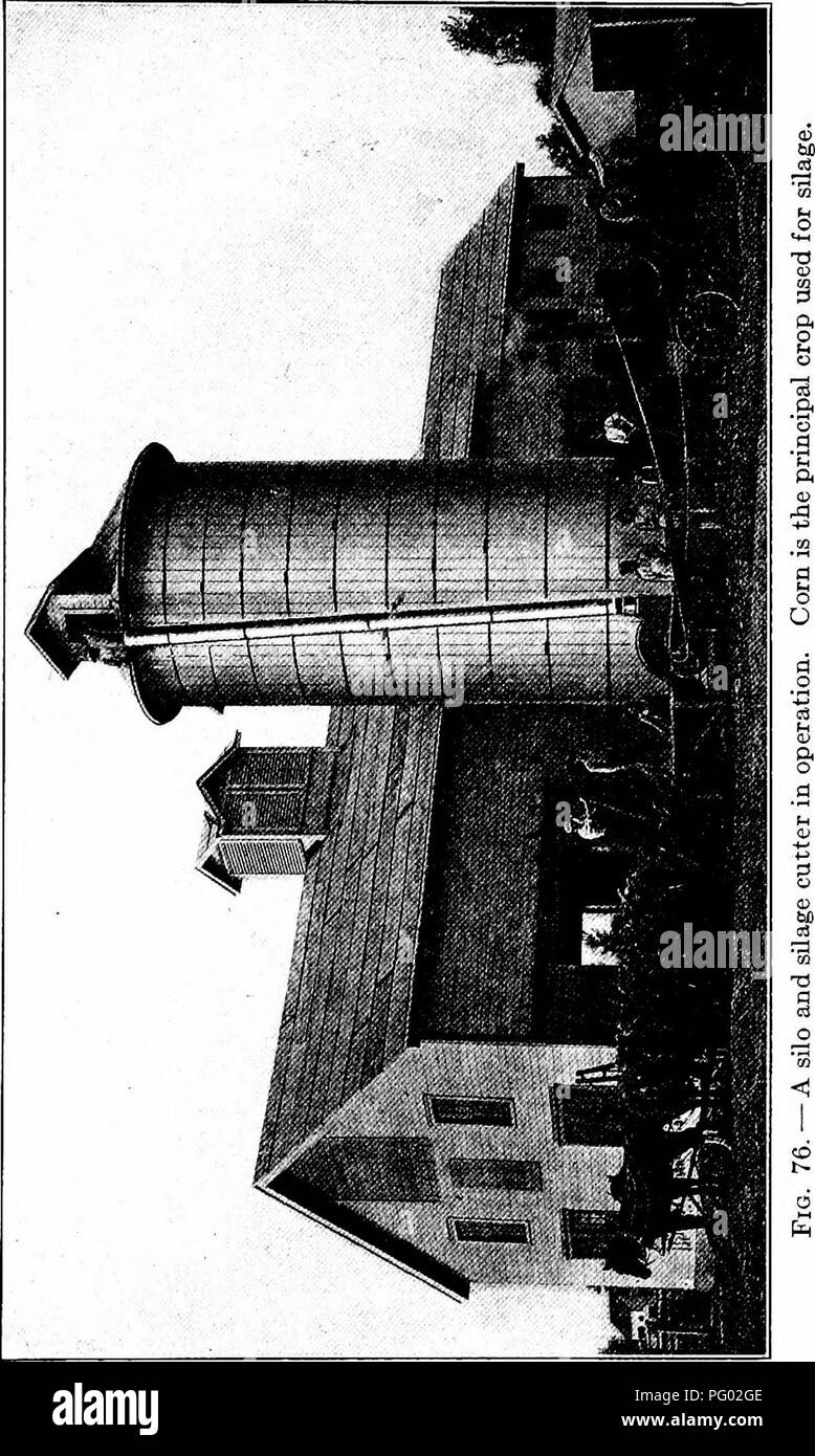 This discussion focuses on the cultivation of corn, kafir corn, and ...