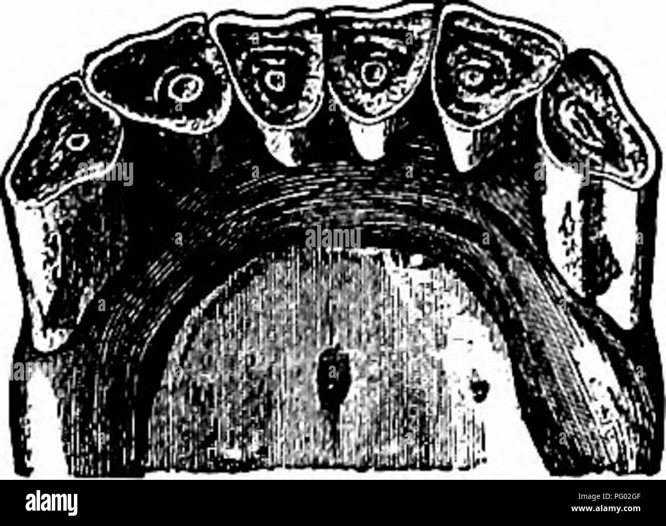 Age related health Black and White Stock Photos & Images - Alamy