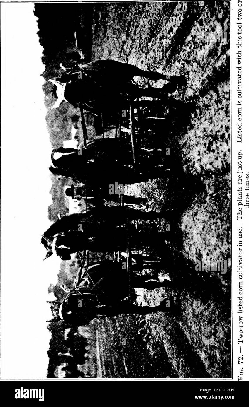 Kafir corn hi-res stock photography and images - Alamy