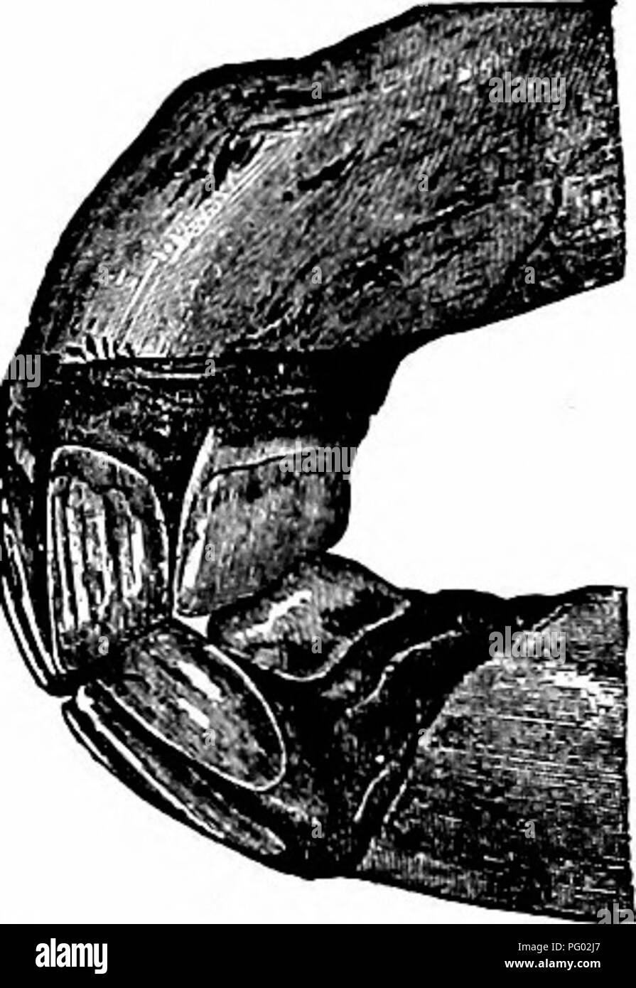 This *Manual of Farm Animals* serves as a practical guide to the ...