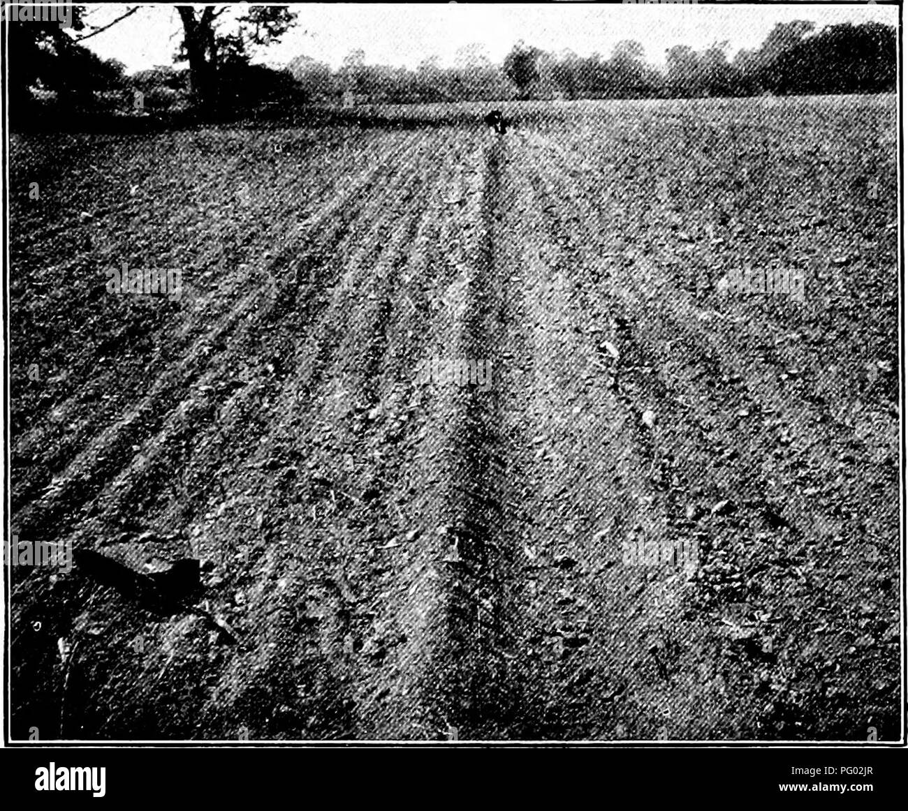 . Dry-farming : a system of agriculture for countries under a low ...