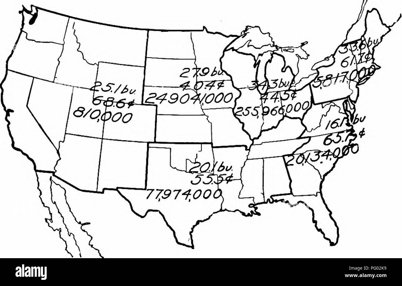 A detailed examination of corn, kafir corn, and sorghum crops grown in ...