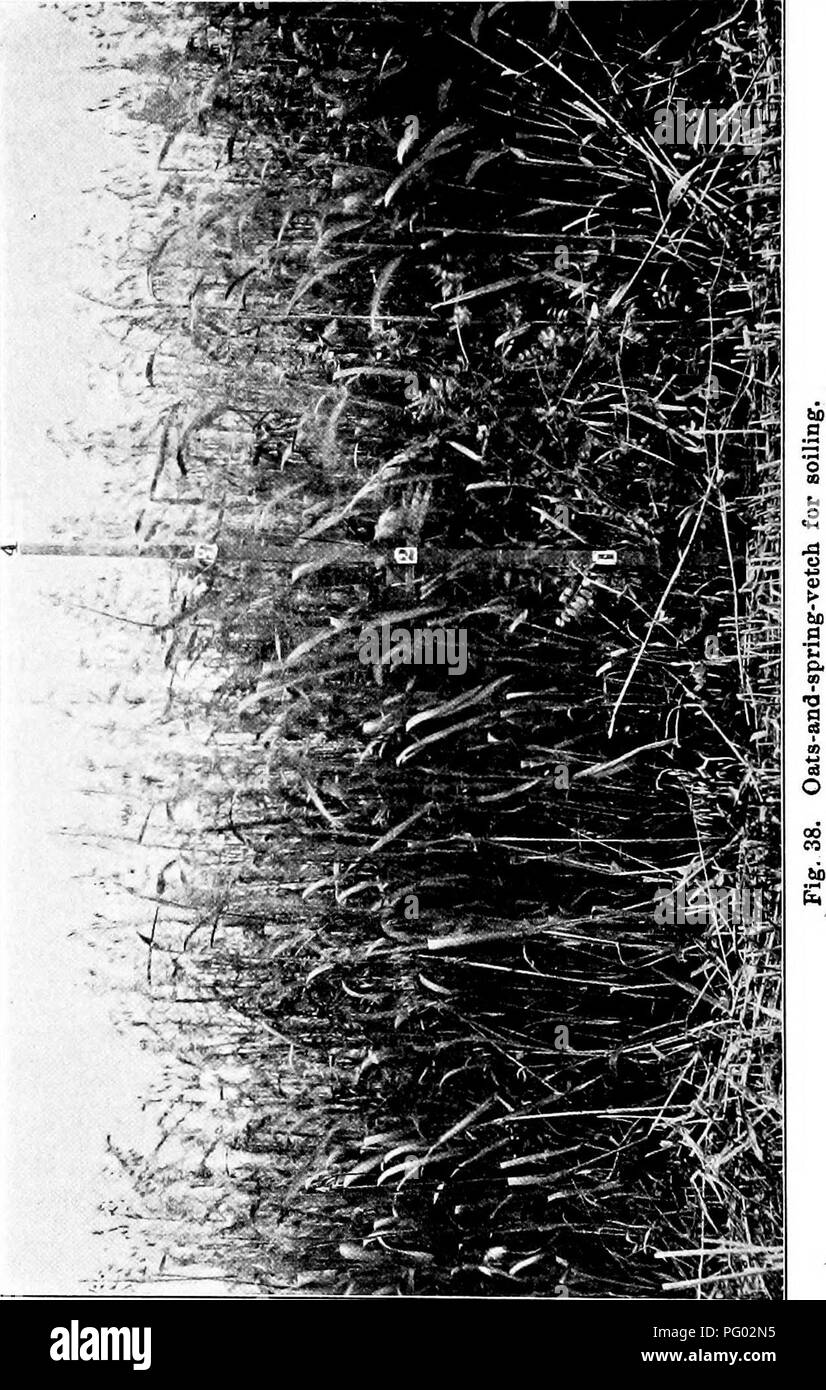 *Forage Crops for Soiling, Silage, Hay, and Pasture* by Edward Burnett ...