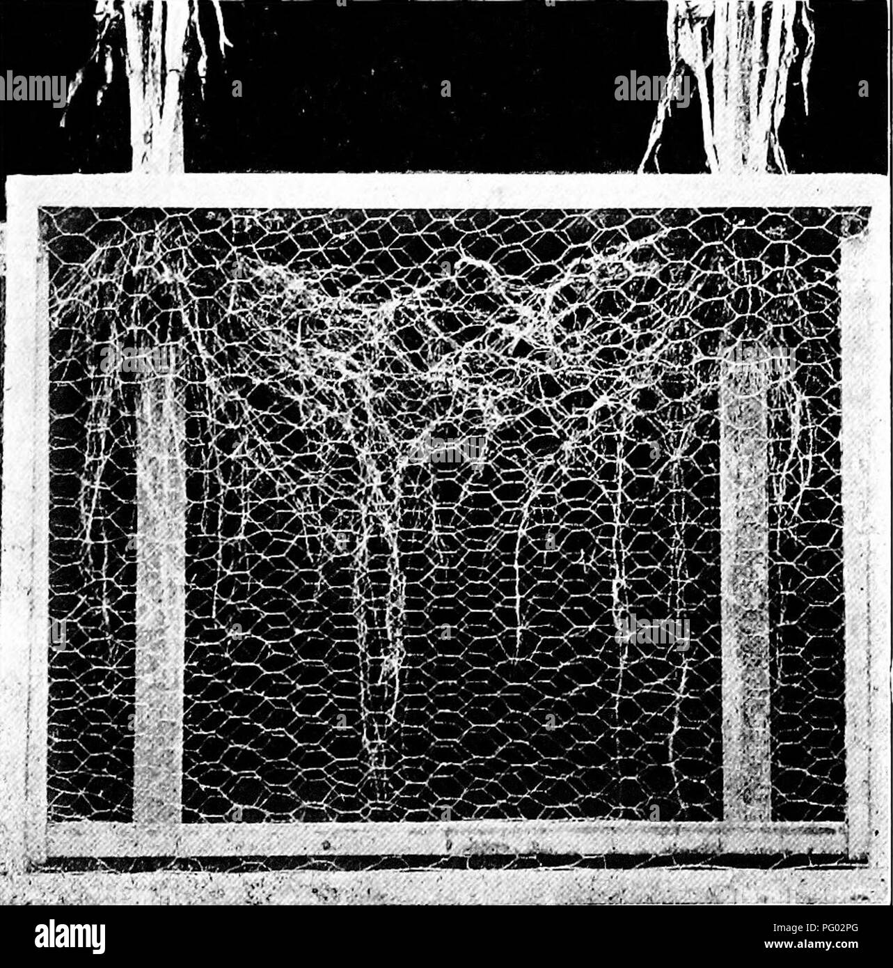 Hay binder hi-res stock photography and images - Alamy